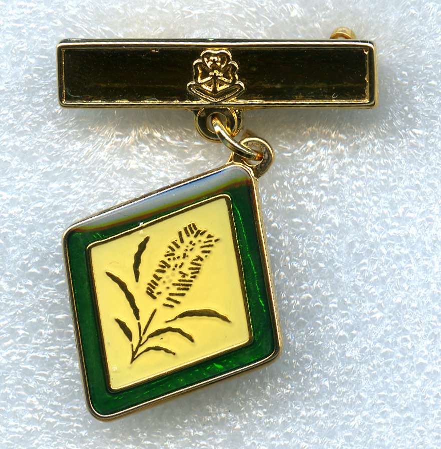 Good Service Awards - Uniformed Members - Guiding Stories