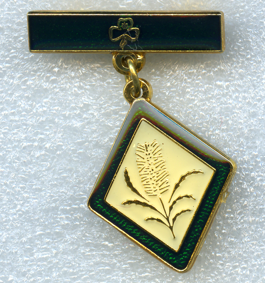 Good Service Awards - Uniformed Members - Guiding Stories
