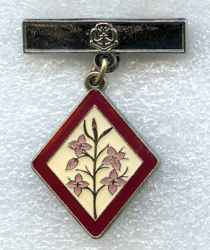 Good Service Awards - Uniformed Members - Guiding Stories