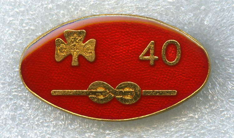 Combined Uniform Badges - Long Service - Guiding Stories