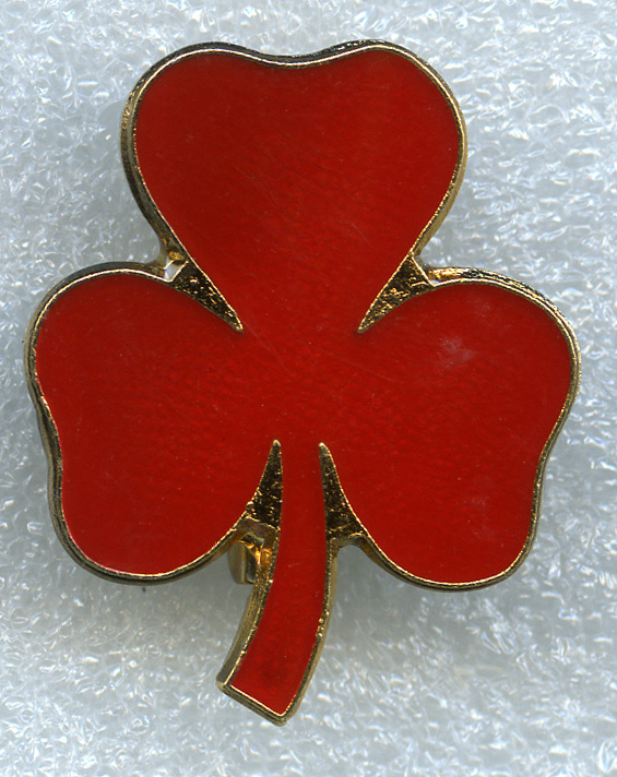 Guide Uniform Badges - Eight Point (metal) - Guiding Stories
