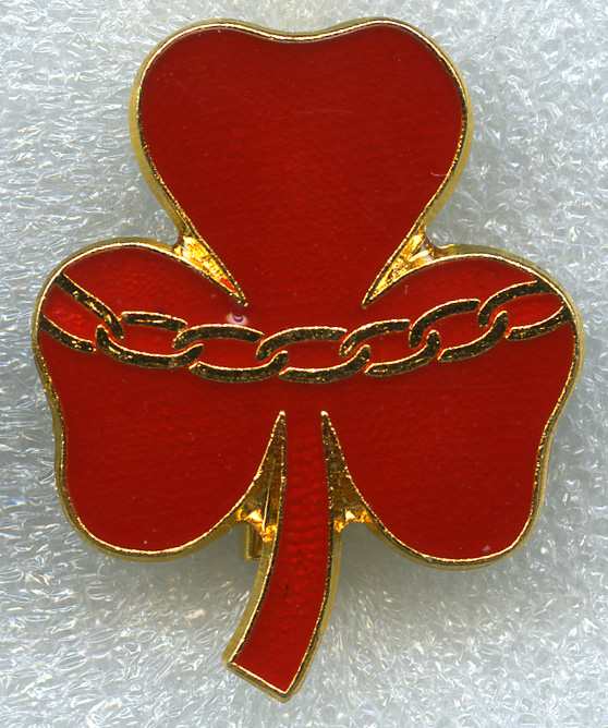 Guide Uniform Badges - Link - Guiding Stories