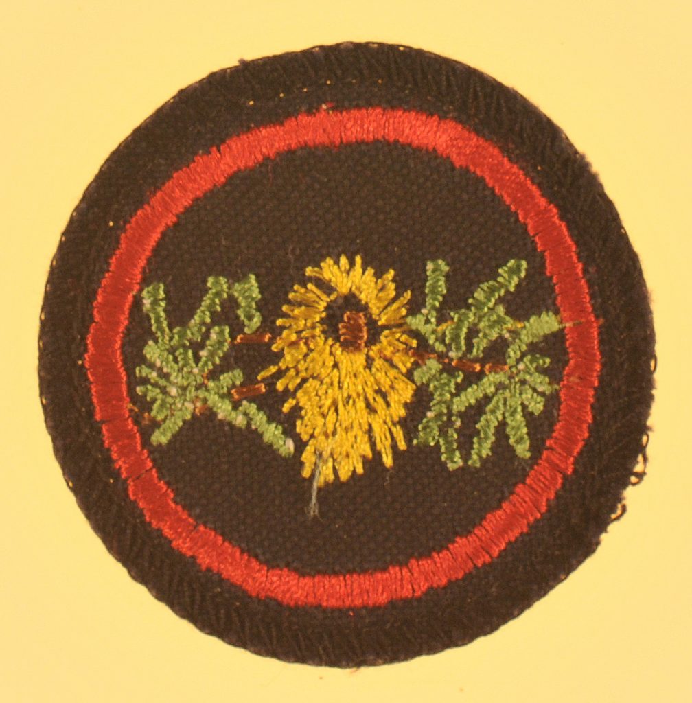 Guide Uniform Badges - Patrol Emblems B - Guiding Stories