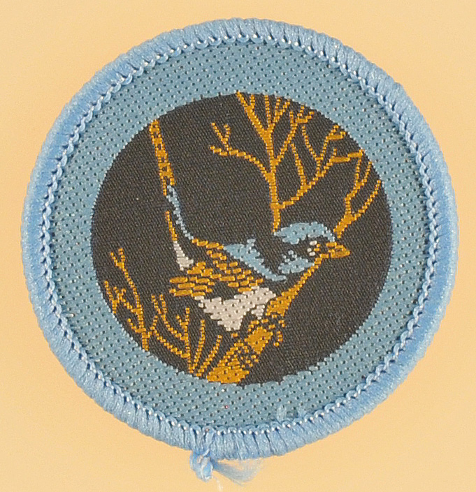 Guide Uniform Badges - Patrol Emblems B - Guiding Stories