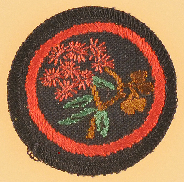 Guide Uniform Badges - Patrol Emblems F - Guiding Stories