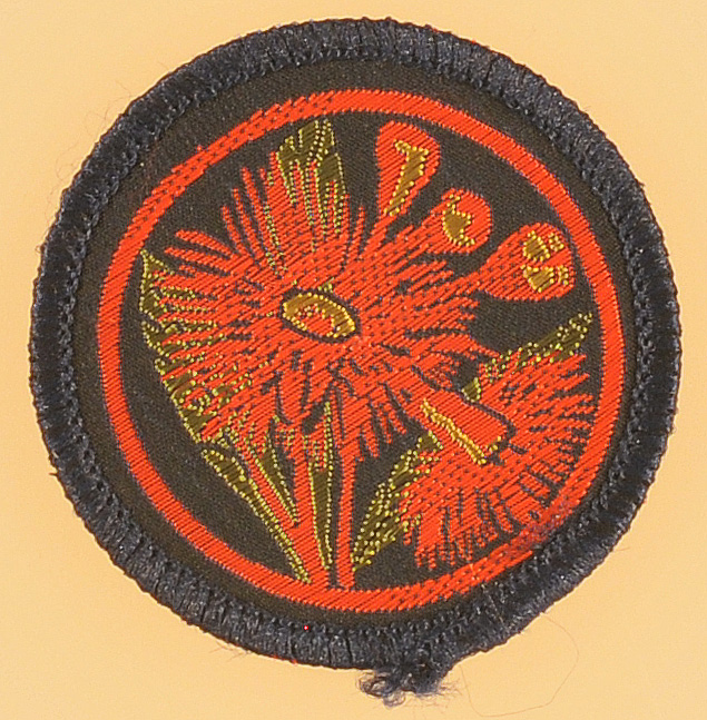Guide Uniform Badges - Patrol Emblems F - Guiding Stories