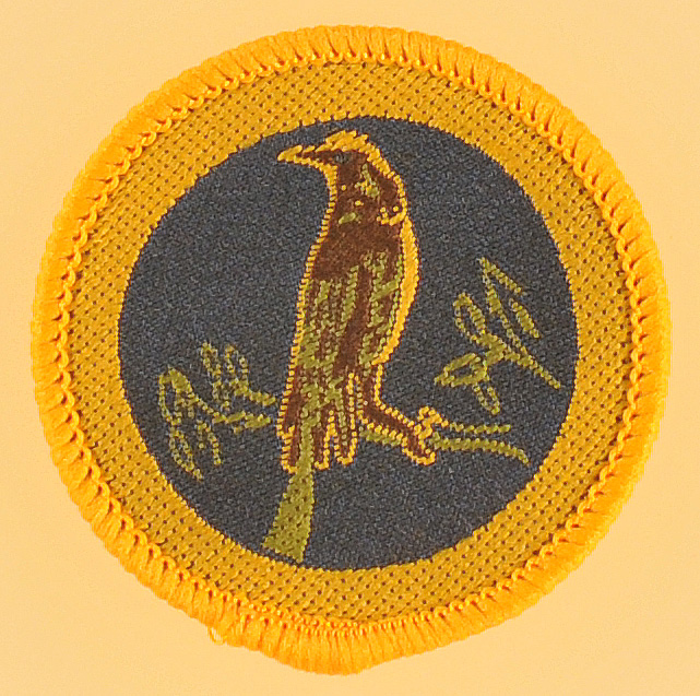 Guide Uniform Badges - Patrol Emblems H - Guiding Stories