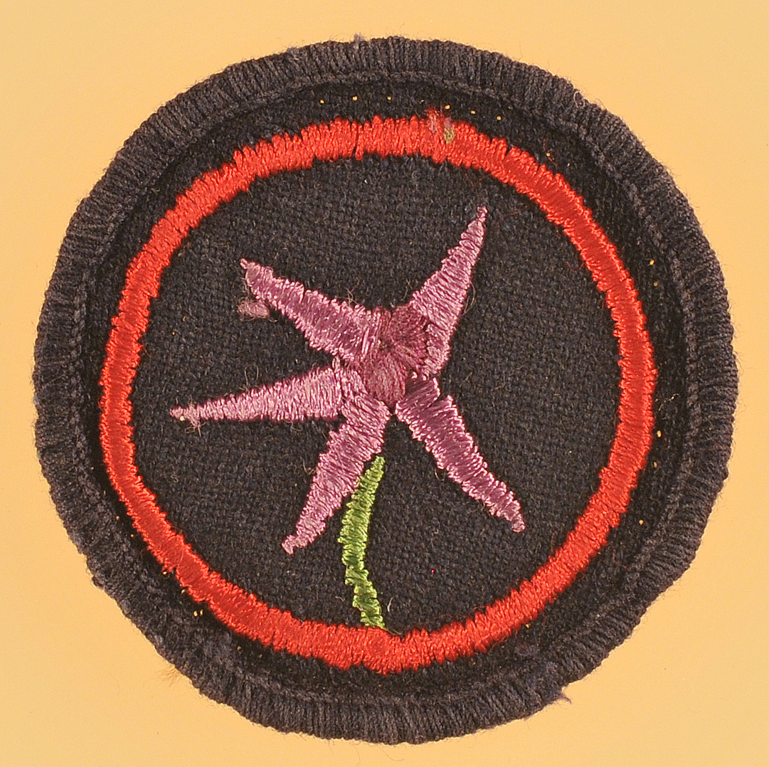 Guide Uniform Badges - Patrol Emblems O - Guiding Stories