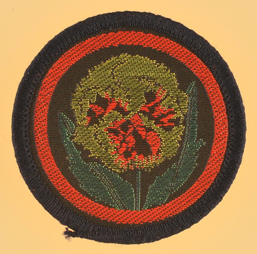 Guide Uniform Badges - Patrol Emblems P - Guiding Stories