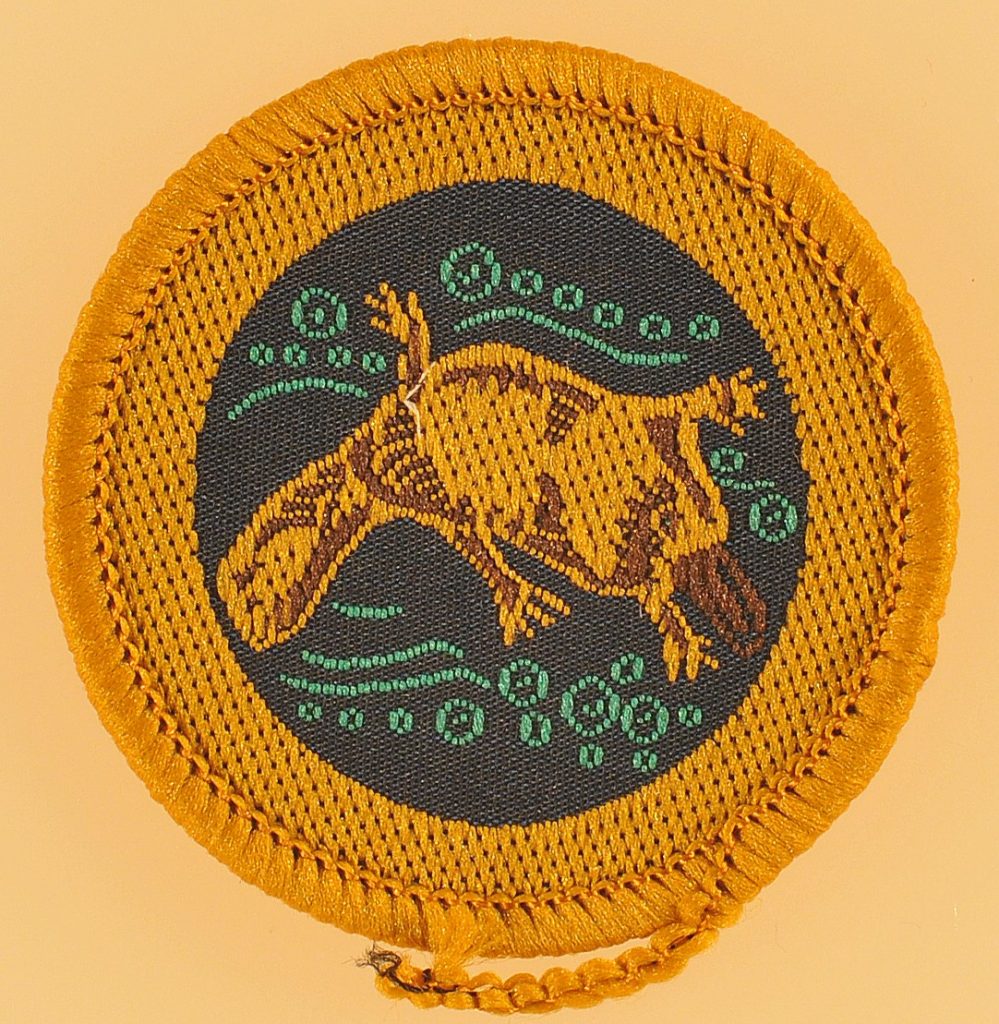 Guide Uniform Badges - Patrol Emblems P - Guiding Stories