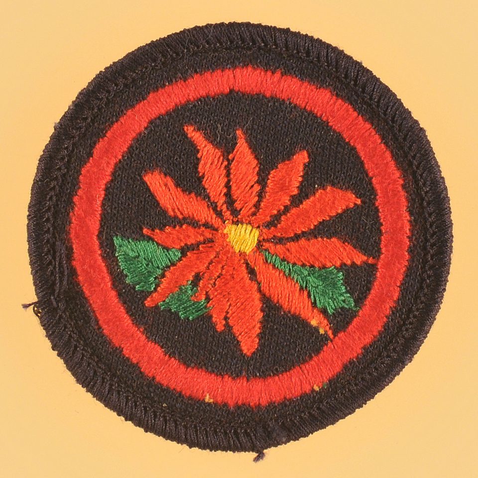 Guide Uniform Badges - Patrol Emblems P - Guiding Stories