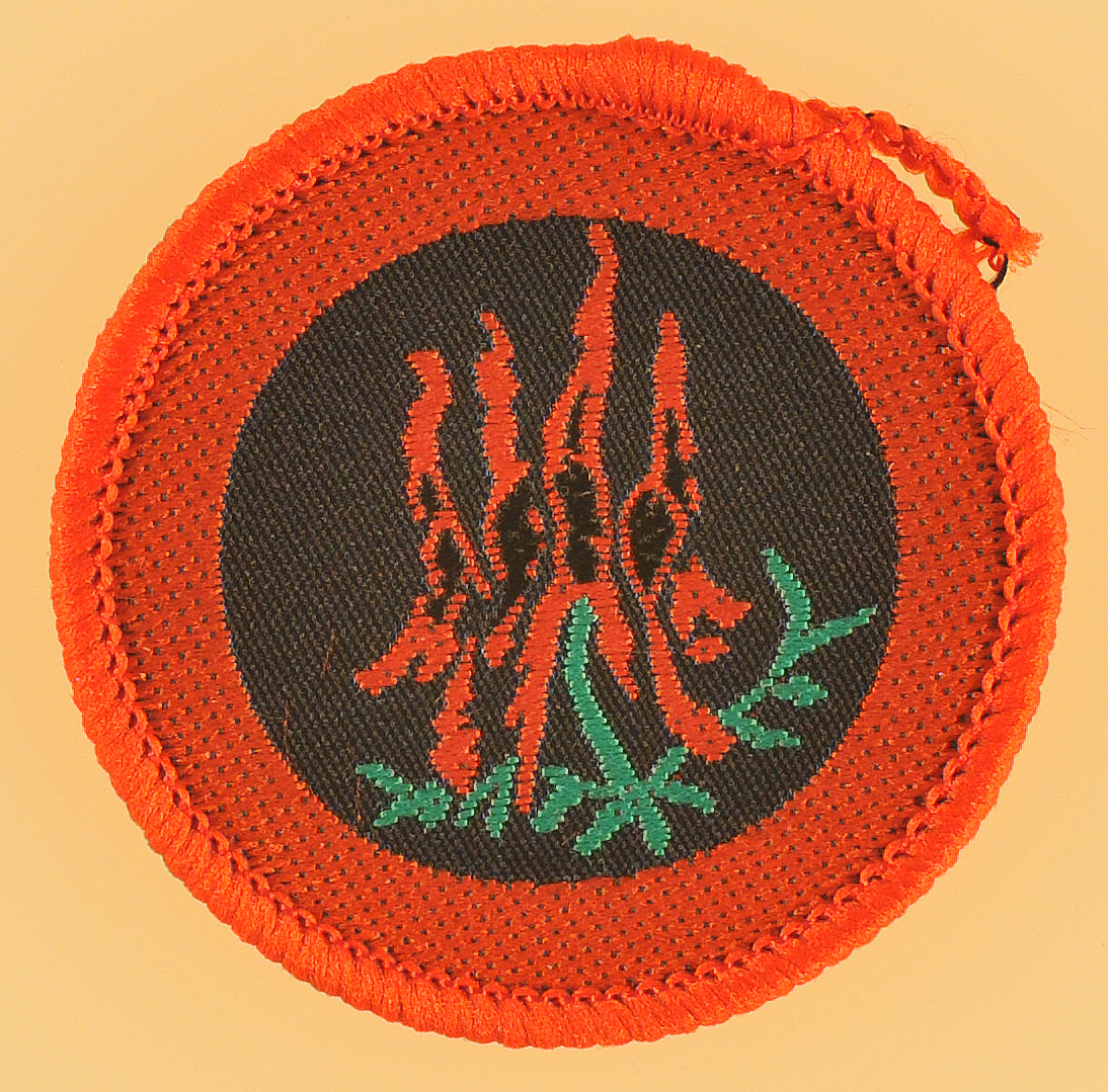 Guide Uniform Badges - Patrol Emblems S - Guiding Stories