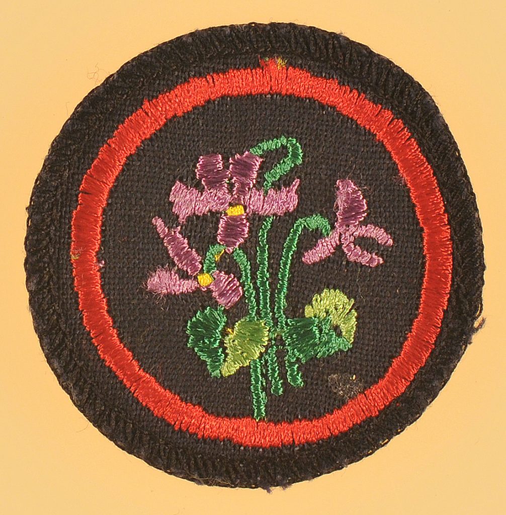Guide Uniform Badges - Patrol Emblems V - Guiding Stories