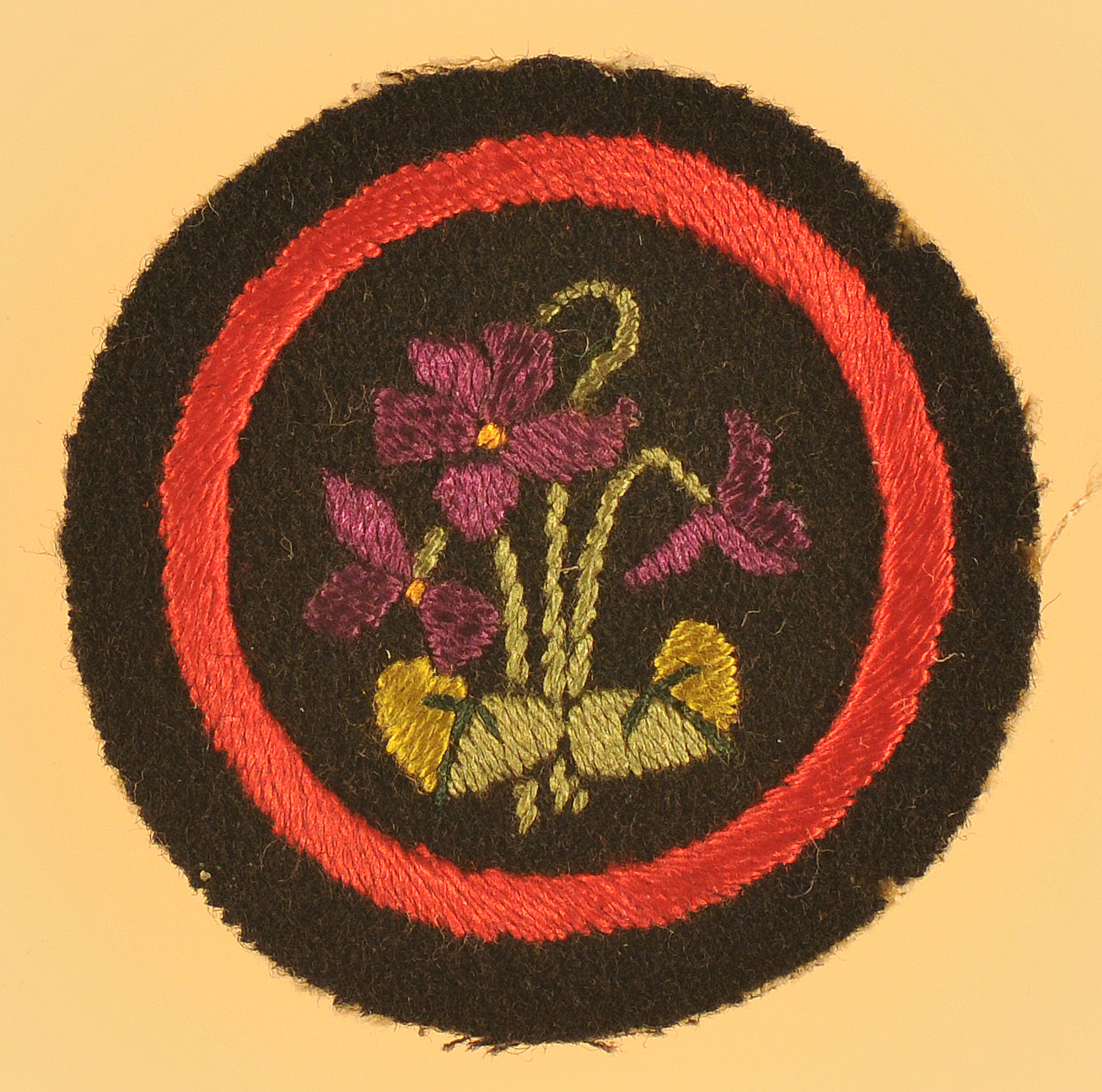 Guide Uniform Badges - Patrol Emblems V - Guiding Stories