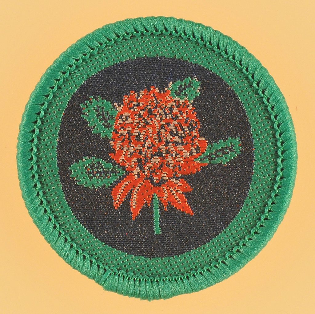 Guide Uniform Badges - Patrol Emblems W - Guiding Stories