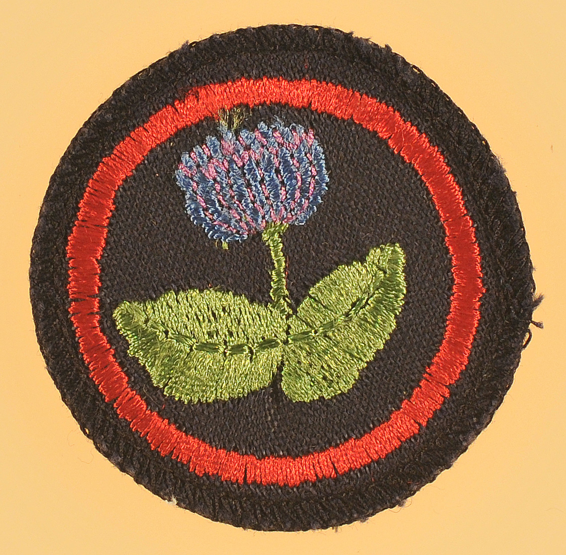 Guide Uniform Badges - Patrol Emblems W - Guiding Stories