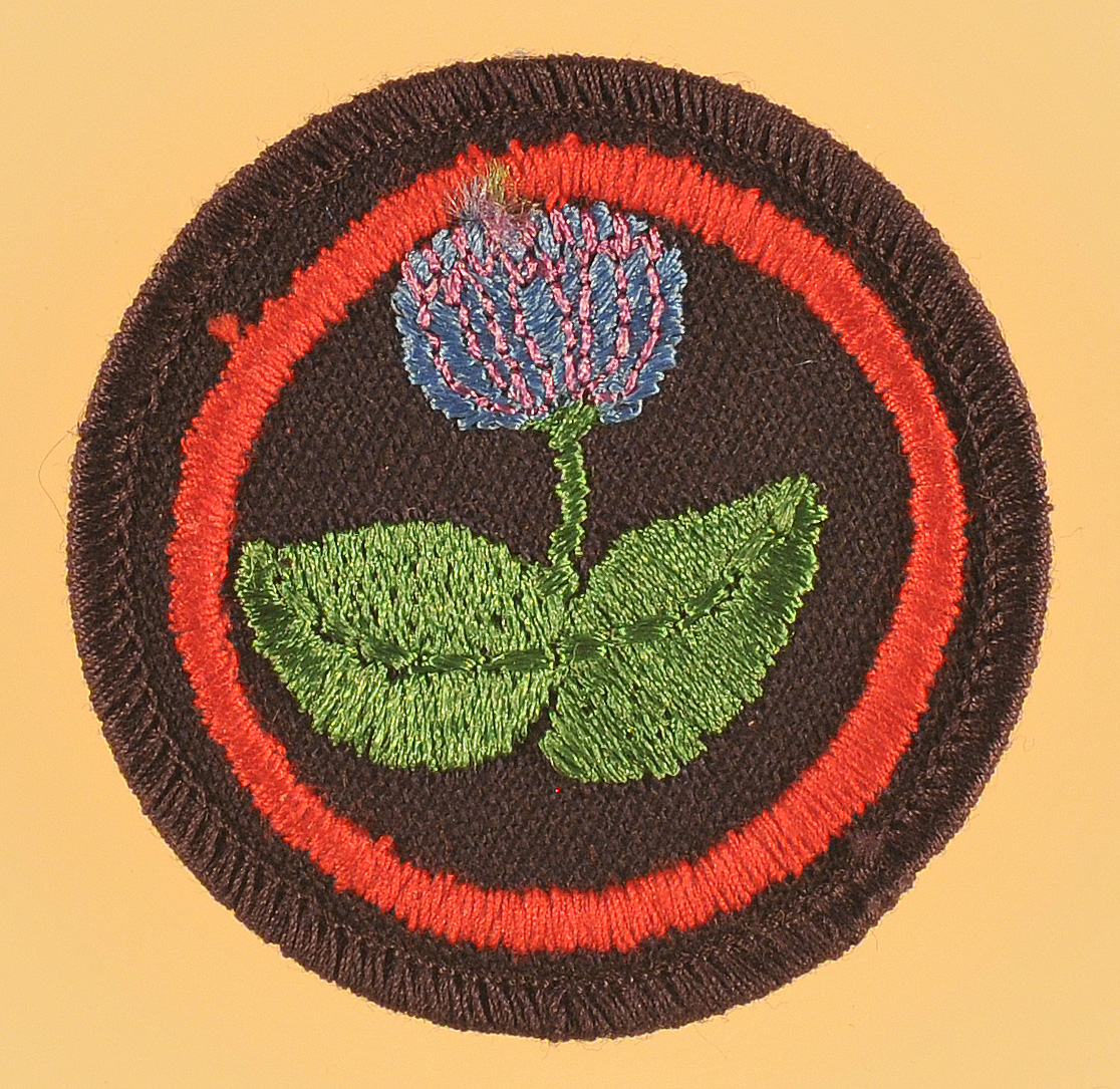 Guide Uniform Badges - Patrol Emblems W - Guiding Stories