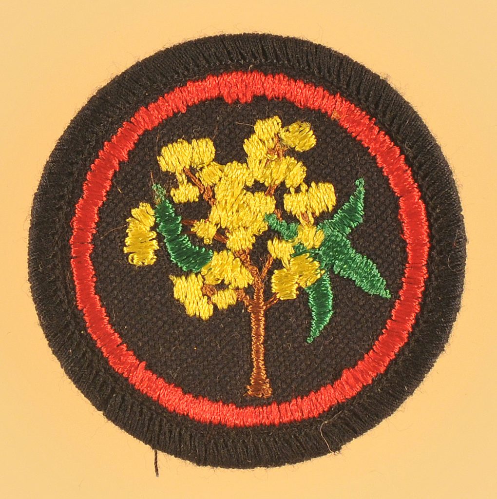 Guide Uniform Badges - Patrol Emblems W - Guiding Stories