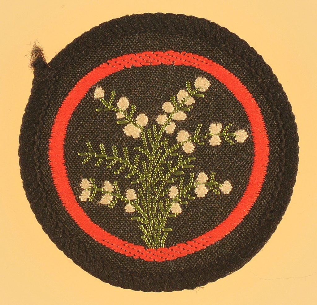 Guide Uniform Badges - Patrol Emblems W - Guiding Stories