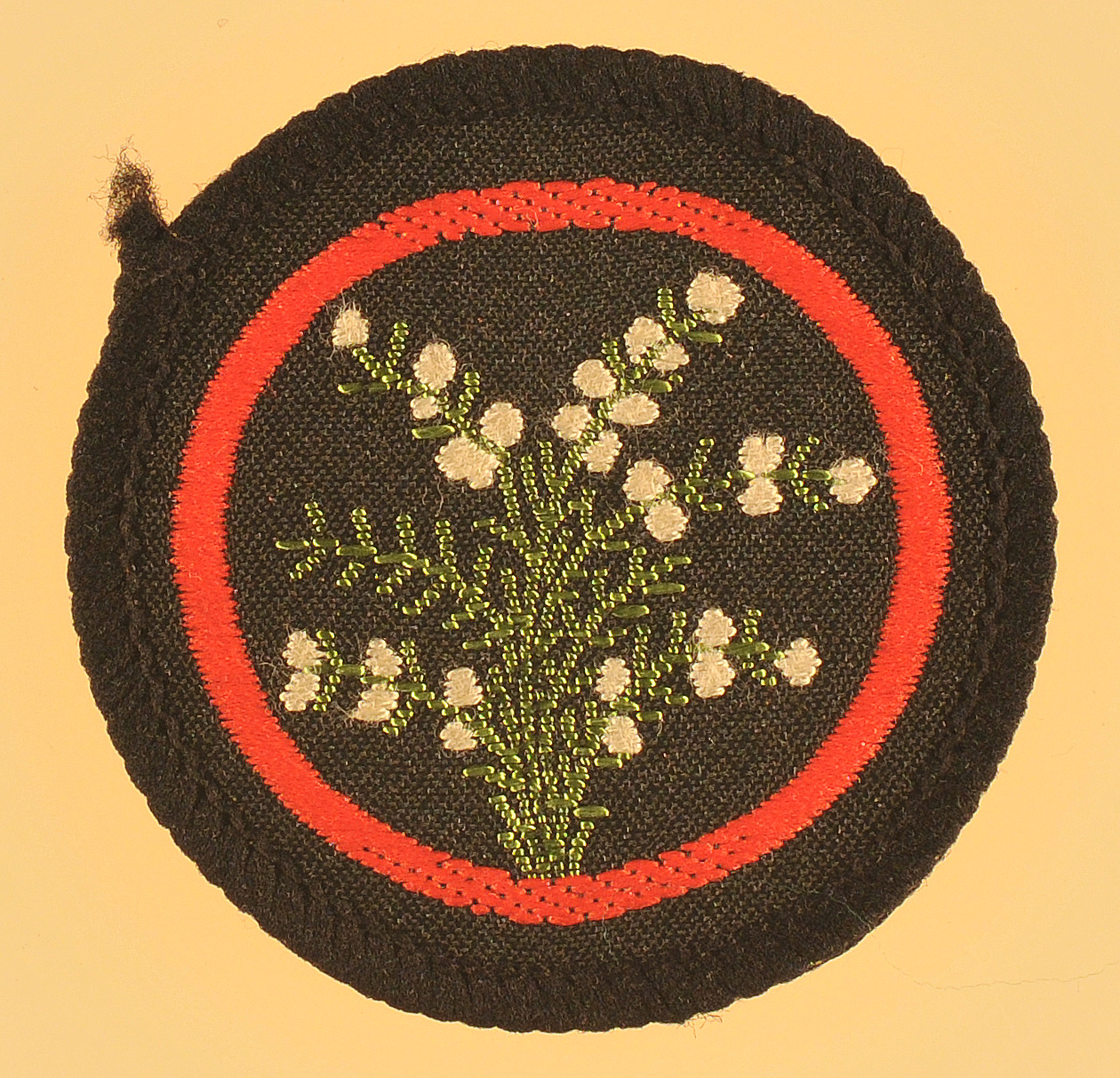 Guide Uniform Badges - Patrol Emblems W - Guiding Stories
