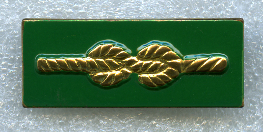 Leader Uniform Badges - Long Service Historic - Guiding Stories