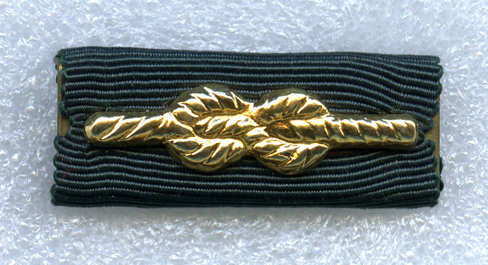 Leader Uniform Badges - Long Service Historic - Guiding Stories